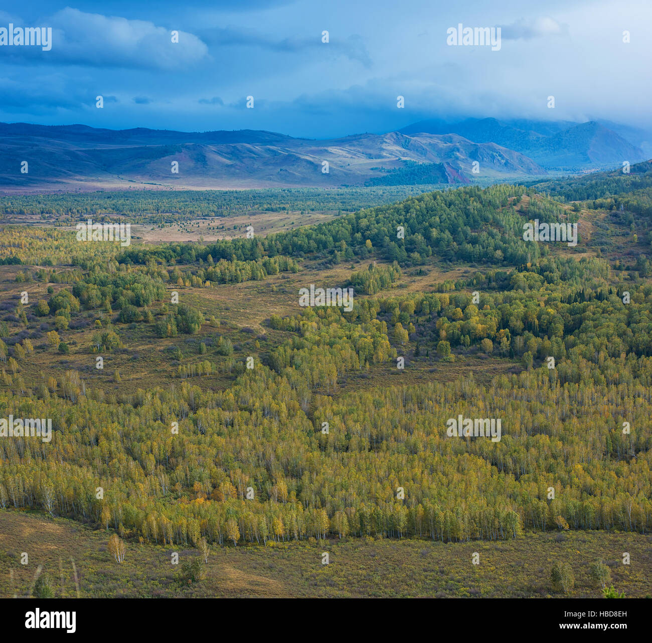 Altay mountains in Siberia Stock Photo - Alamy