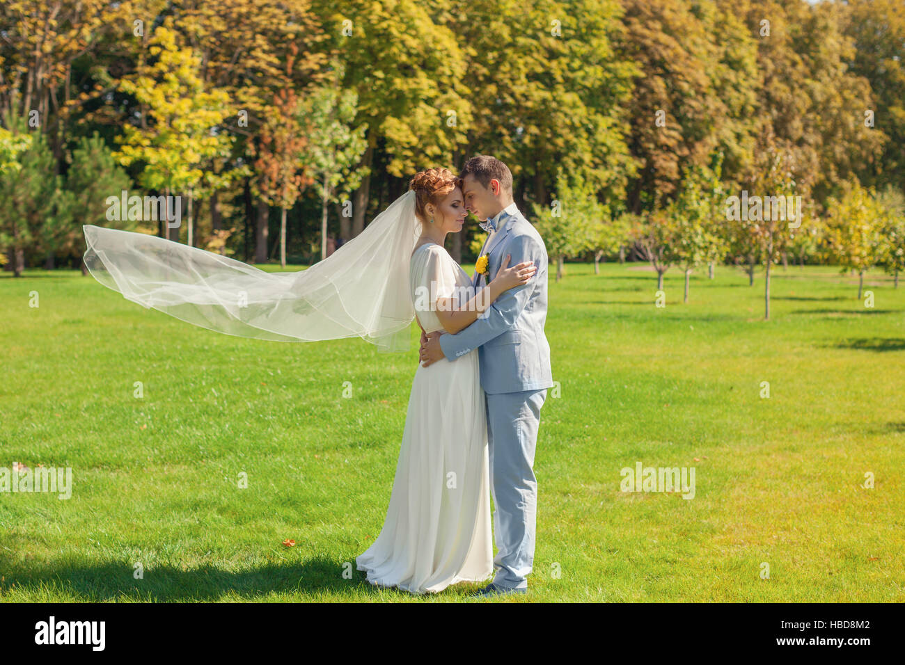 The groom gently embraces the bride Stock Photo - Alamy