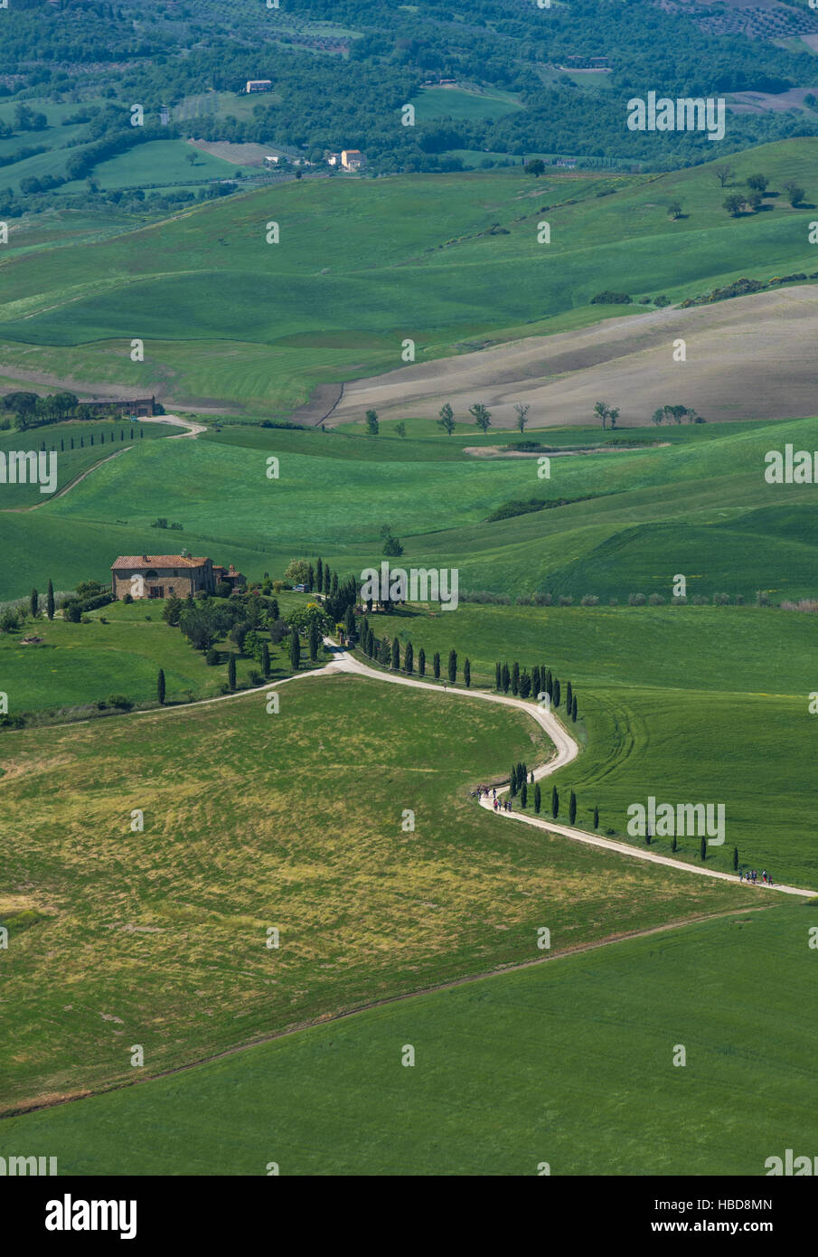 typical tuscan landscape Stock Photo - Alamy