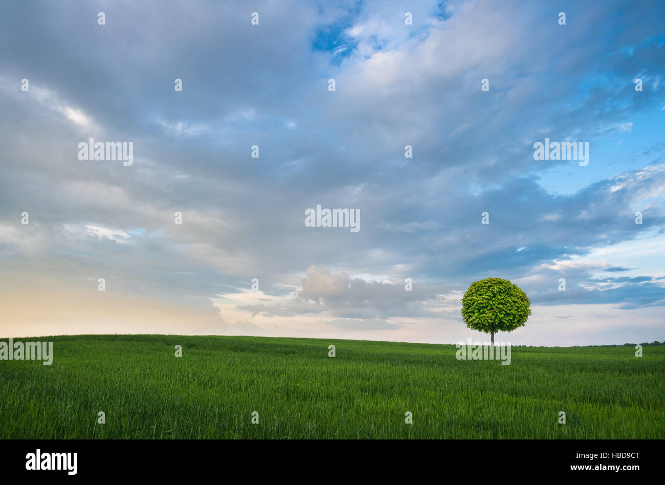 Green grass landscape hi-res stock photography and images - Alamy