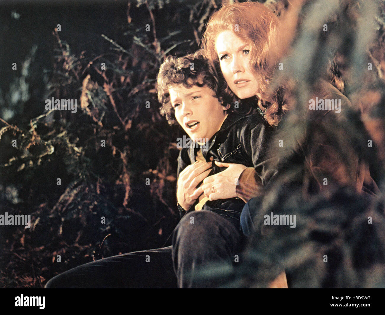 THE BOY WHO CRIED WEREWOLF, Scott Sealey, Elaine Devry, 1973 Stock ...