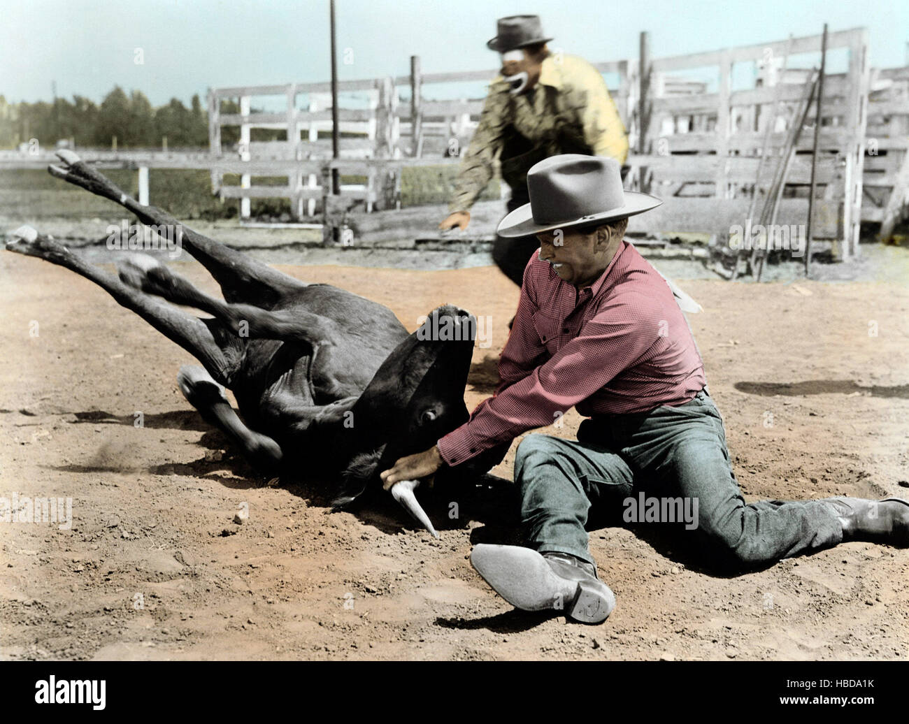 BRONCO BUSTER, front to back: John Lund, Donald Kerr, 1952 Stock Photo ...