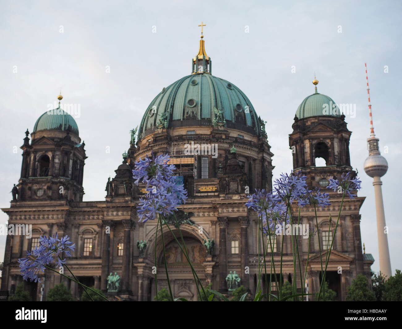 Berliner Dom in Berlin Stock Photo - Alamy