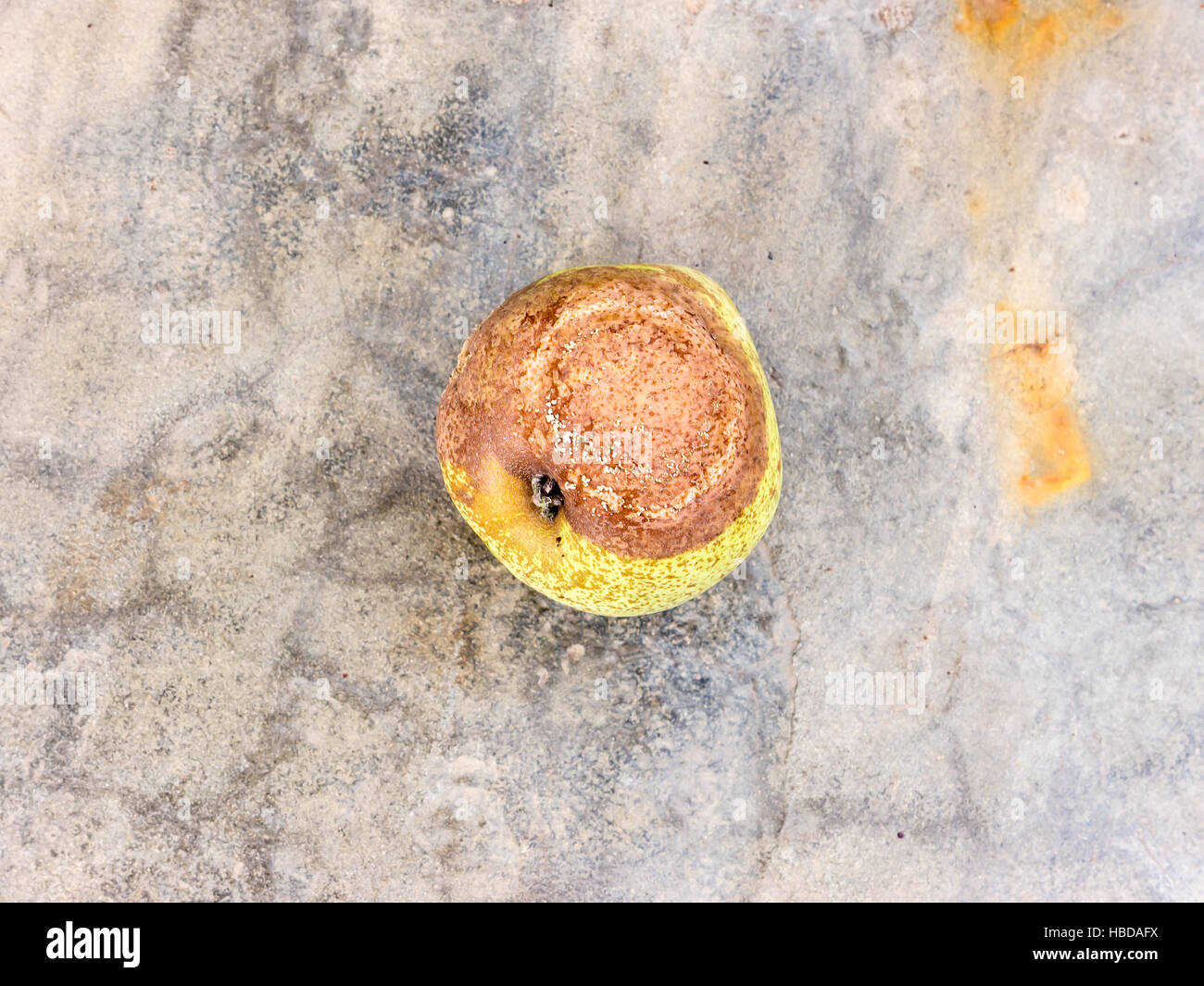 Rotten leaf hi-res stock photography and images - Alamy