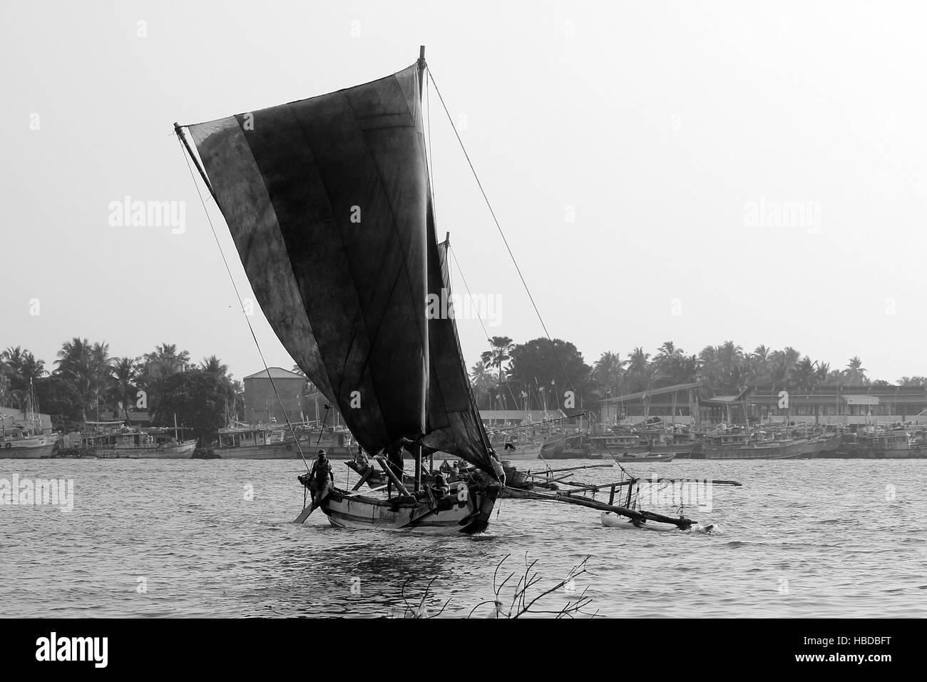 Traditional boat near Colombo, Sri Lanka Stock Photo - Alamy