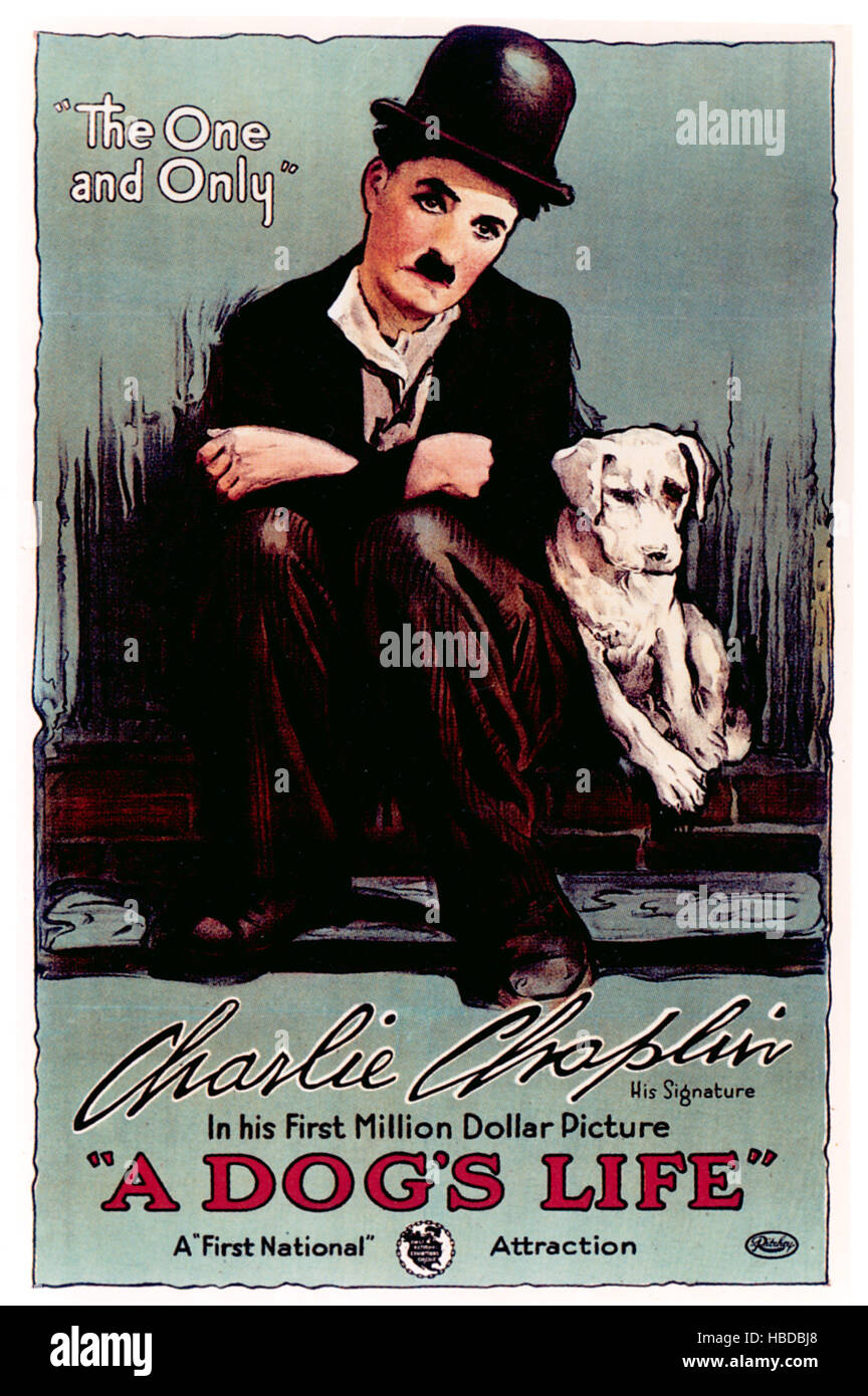 A DOG'S LIFE, Charlie Chaplin, 1918 Stock Photo - Alamy