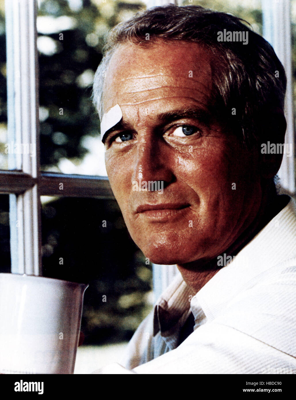 THE DROWNING POOL, Paul Newman, 1975 Stock Photo - Alamy