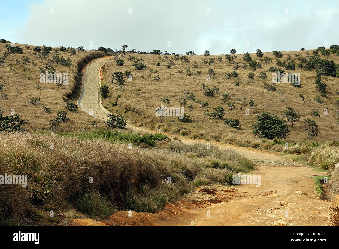 Sri lankan roads and highways hi-res stock photography and images - Alamy