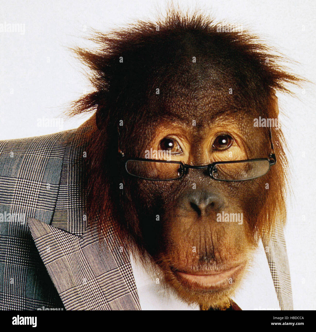 DUNSTON CHECKS IN, 1996, TM & Copyright © 20th Century Fox Film Corp ...