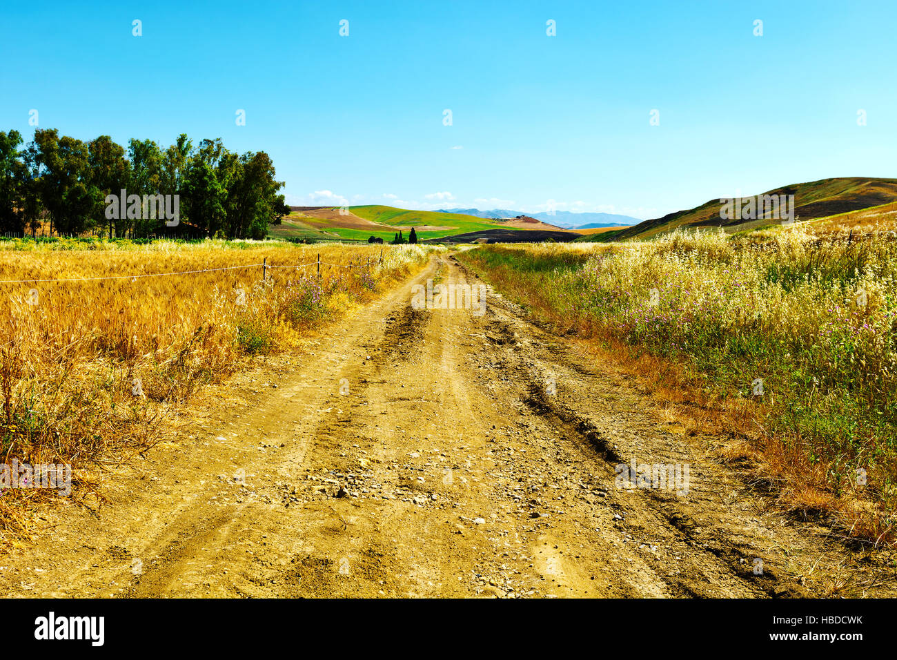 Dirt Road between Fields Stock Photo - Alamy