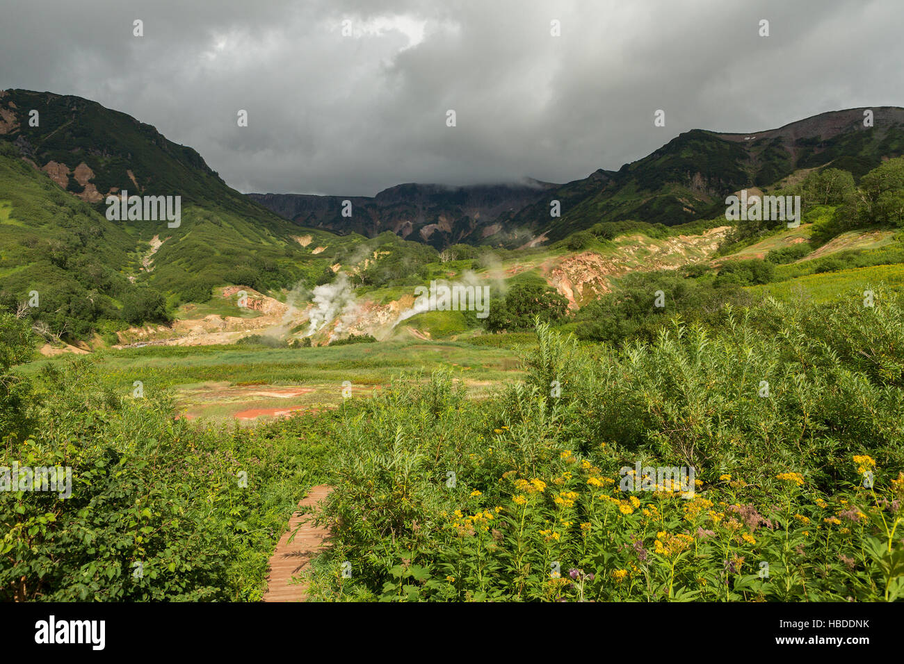 Famous Valley of Geysers Stock Photo - Alamy