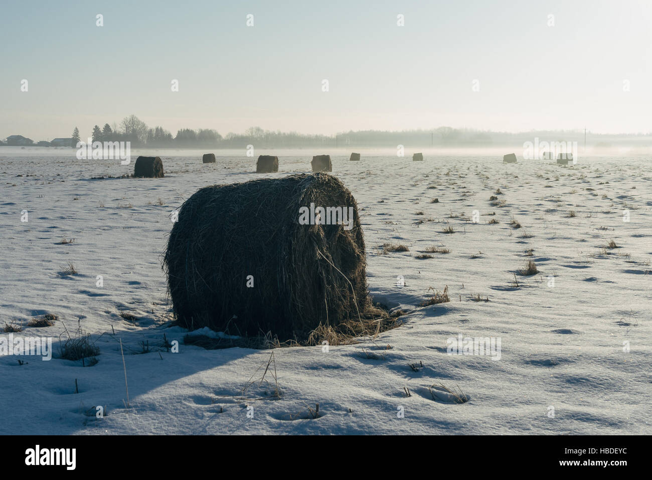 Haystacks and farmland field covered by snow. Rural nature winter ...