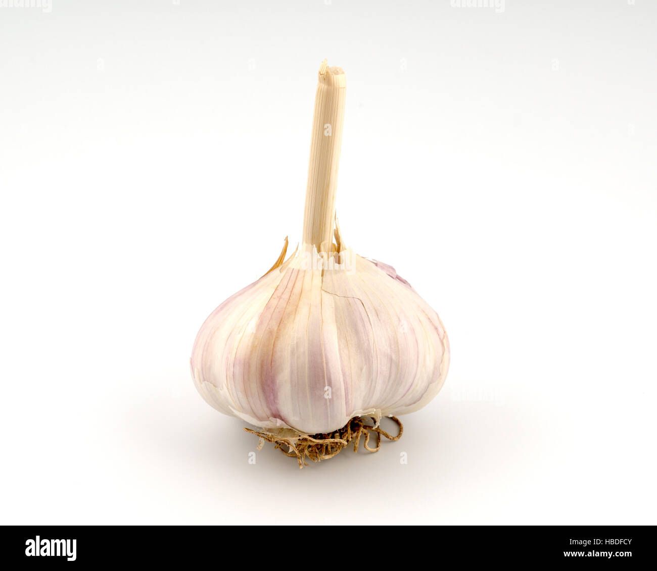 Head of garlic isolated on a white background Stock Photo - Alamy