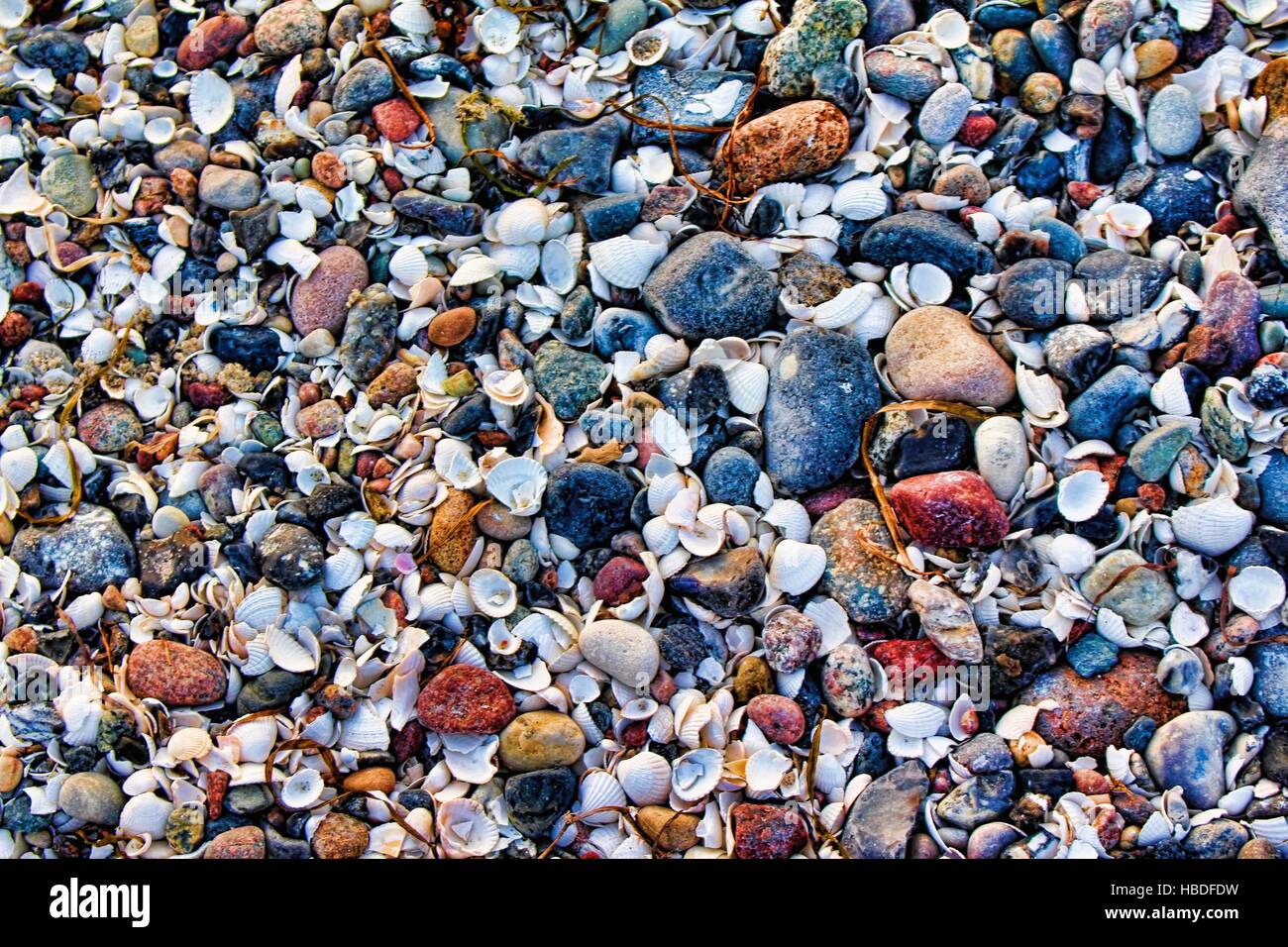 Stones & Seashells Stock Photo - Alamy