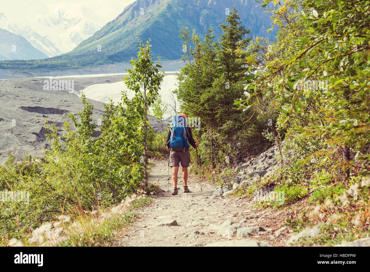 Hike in Alaska Stock Photo - Alamy
