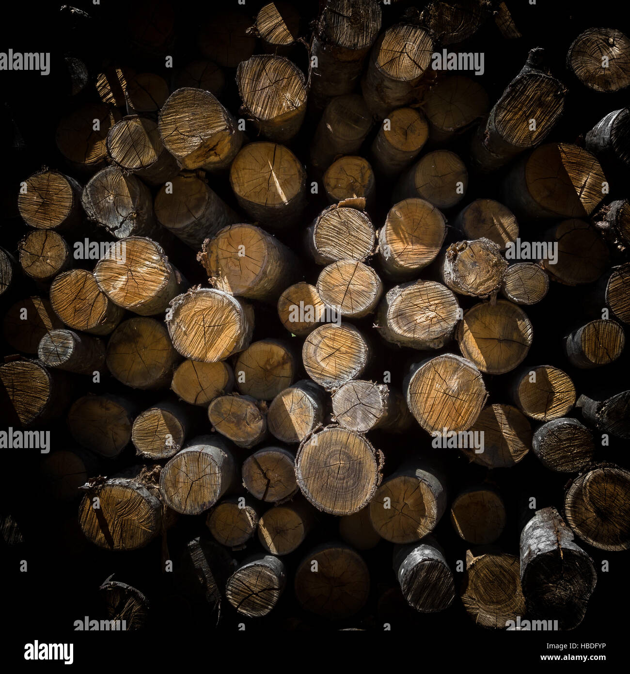 Stacked wood pile hi-res stock photography and images - Alamy