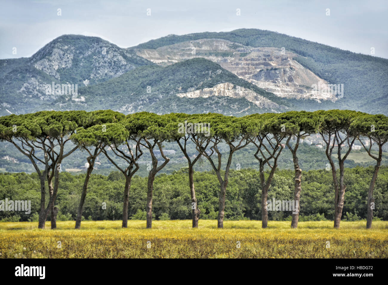 Landscapes hi-res stock photography and images - Alamy