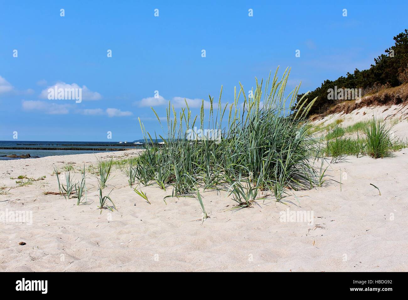 Look At The Baltic Sea Stock Photo - Alamy