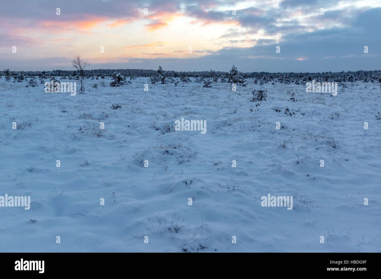 Bog sunset hi-res stock photography and images - Alamy