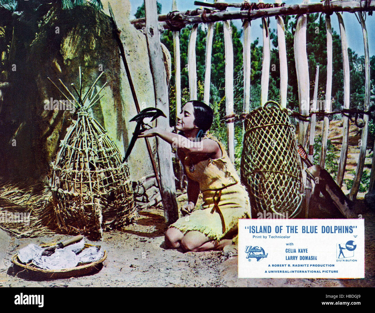 ISLAND OF THE BLUE DOLPHINS, Celia Kaye, 1964 Stock Photo - Alamy