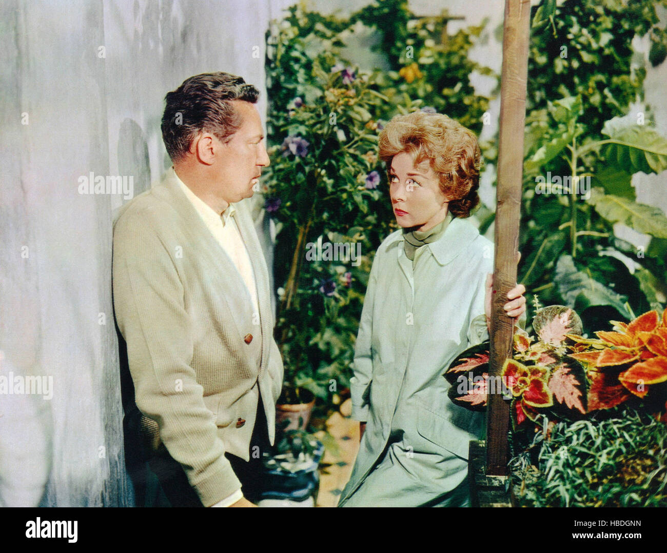 I THANK A FOOL, from left: Peter Finch, Susan Hayward, 1962 Stock Photo ...