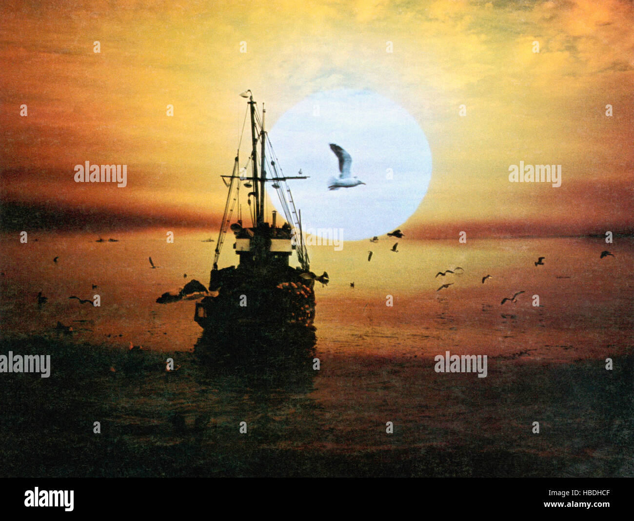 JONATHAN LIVINGSTON SEAGULL, 1973 Stock Photo - Alamy