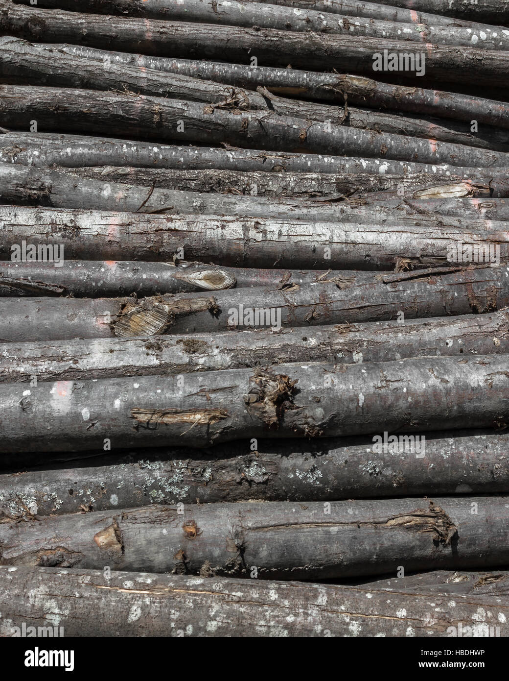 Stacked Wood Pile Stock Photos & Stacked Wood Pile Stock Images - Alamy