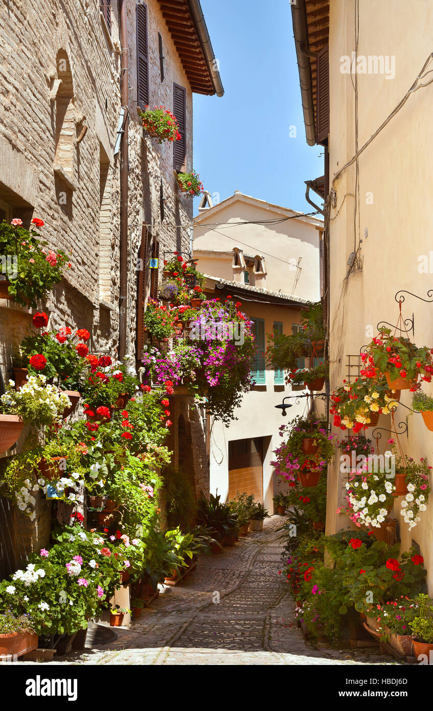Beautiful street in Spello. Italy Stock Photo - Alamy
