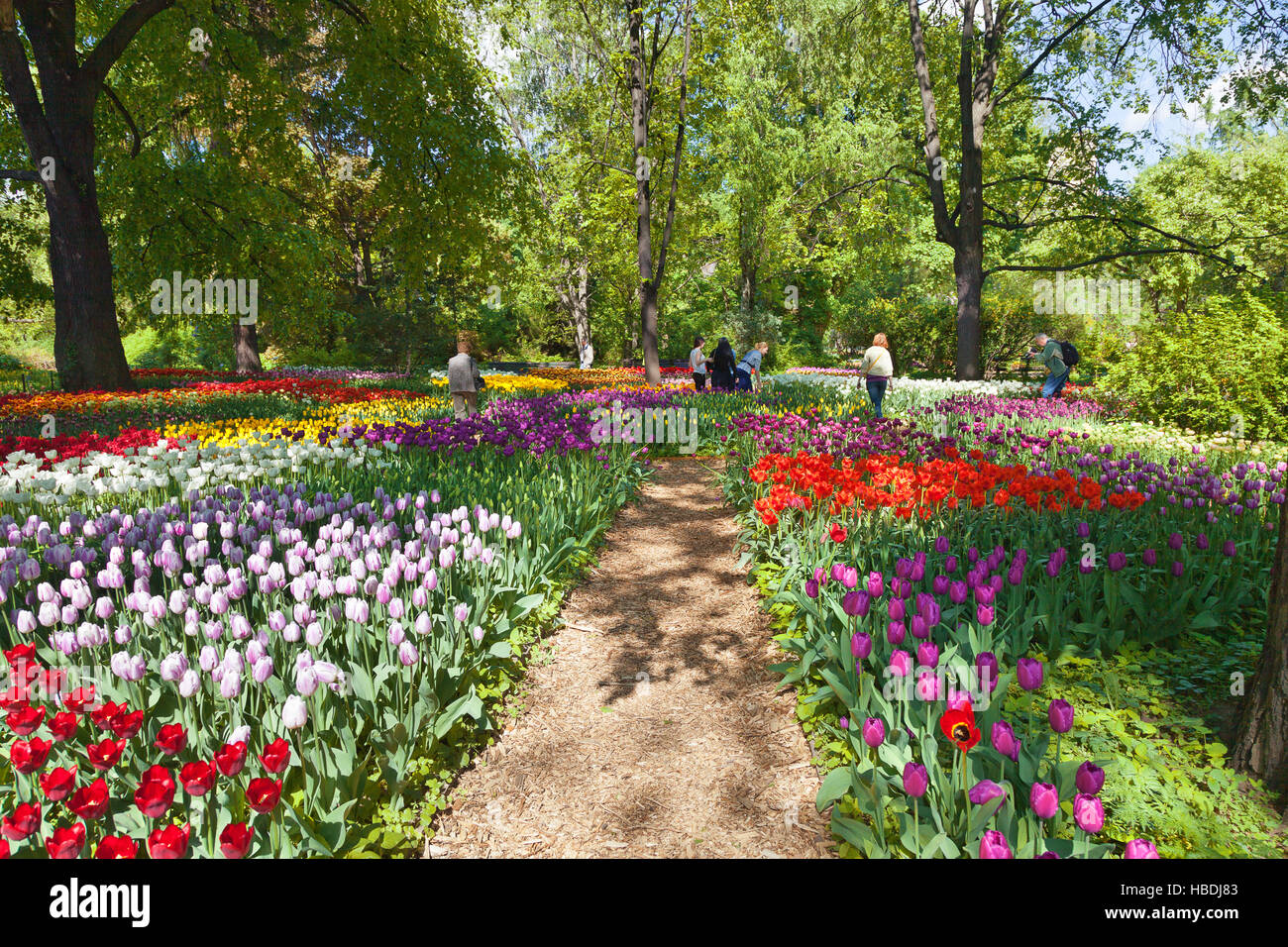 Spring landscape in Moscow Stock Photo - Alamy