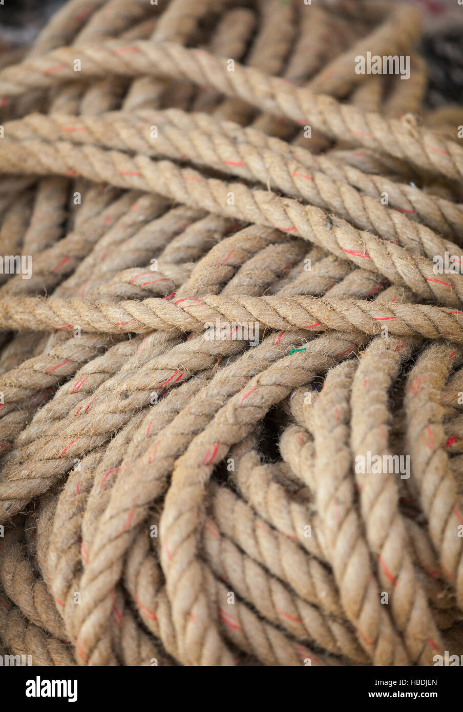 Rope Like Fibers at Patricia Logan blog