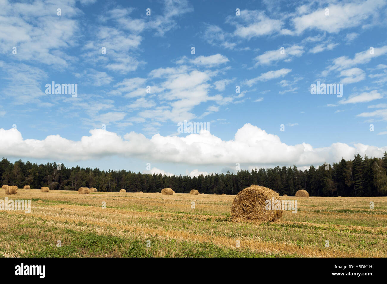 Hay rolls hi-res stock photography and images - Alamy