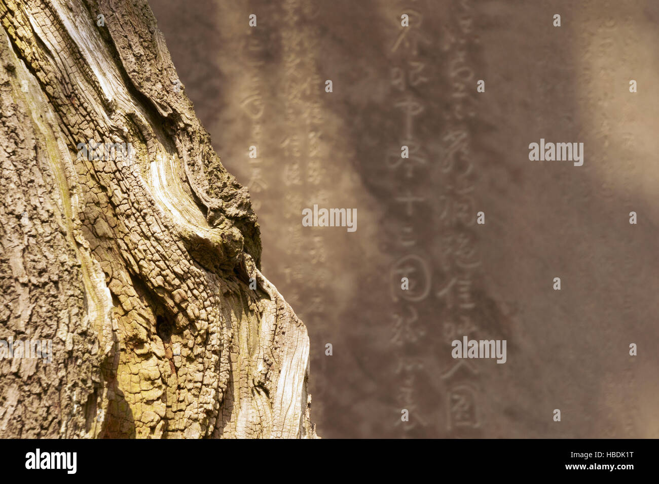 Sacred zen hi-res stock photography and images - Alamy