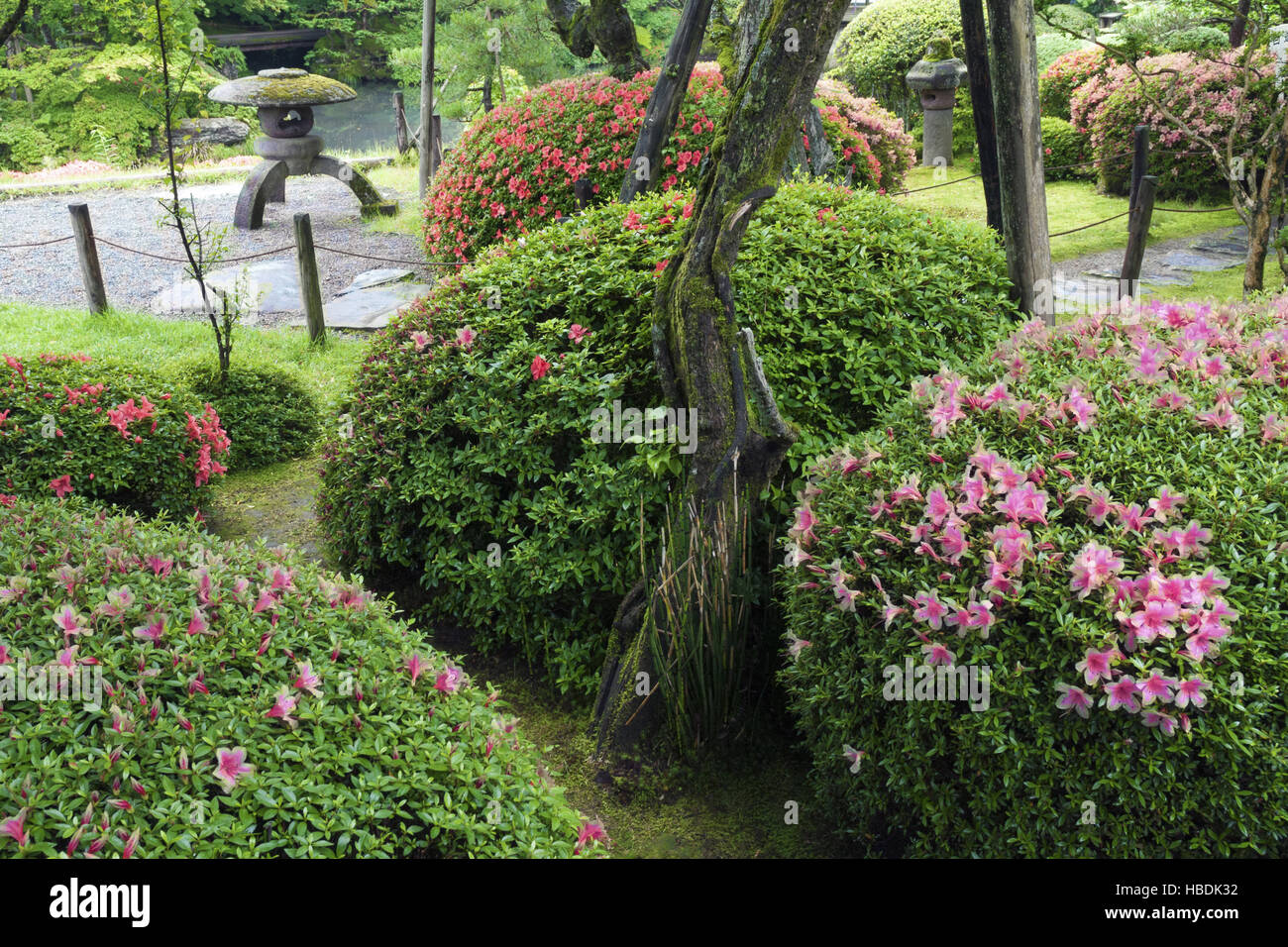 summer Zen garden Stock Photo - Alamy