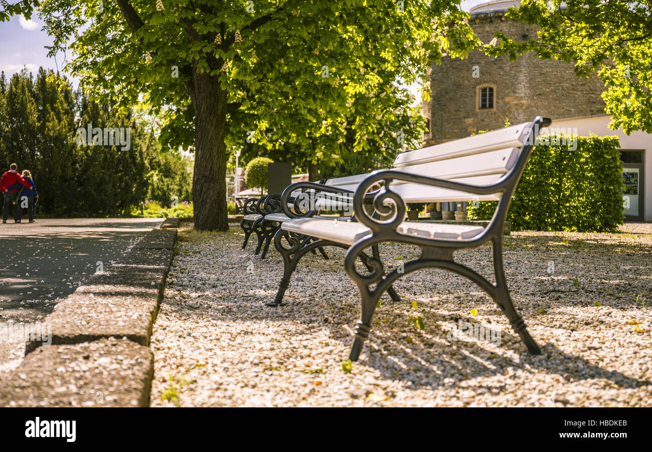 lonely benches in a park Stock Photo - Alamy