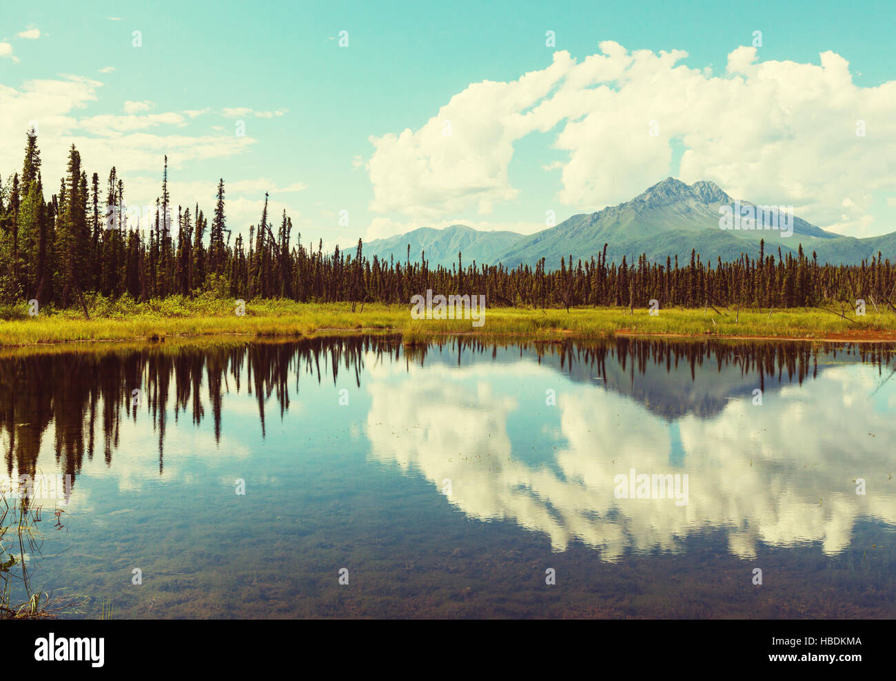 Lake in Alaska Stock Photo - Alamy