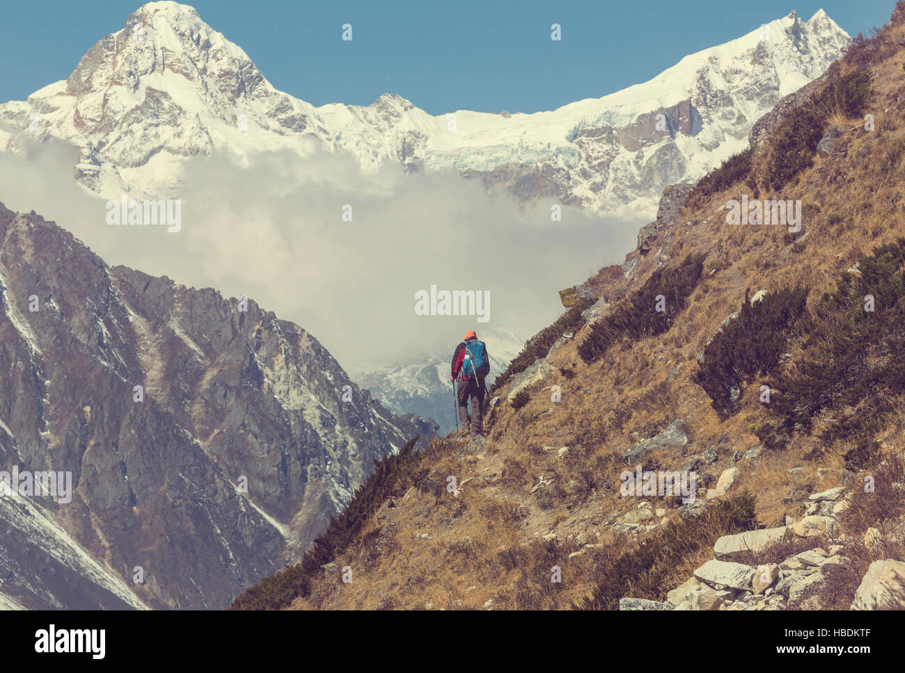 Hike in Himalayas Stock Photo - Alamy