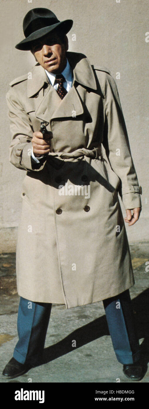 THE MAN WITH BOGART'S FACE, Robert Sacchi, 1980, TM & Copyright © 20th ...