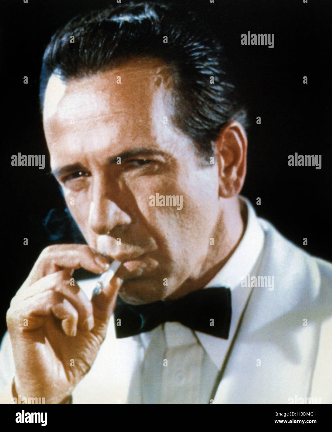 THE MAN WITH BOGART'S FACE, Robert Sacchi, 1980, TM & Copyright © 20th ...