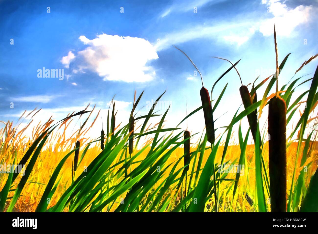 Reed art hi-res stock photography and images - Alamy