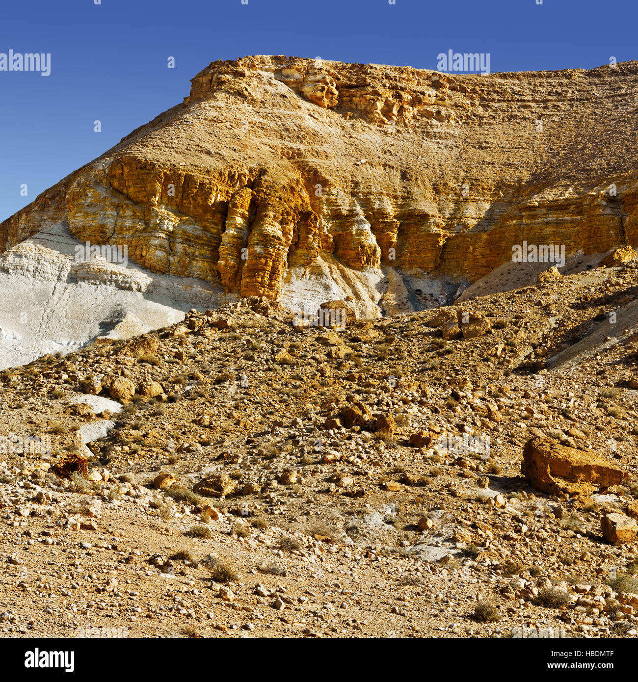Desert in Israel Stock Photo - Alamy