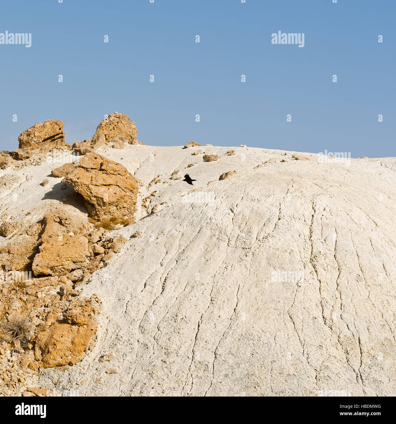 Desert in Israel Stock Photo - Alamy