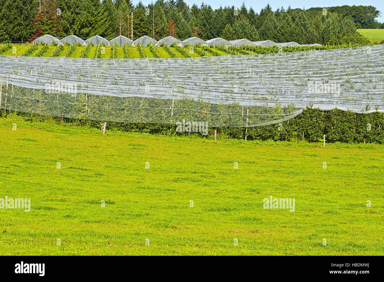 Apple farm france hi-res stock photography and images - Alamy