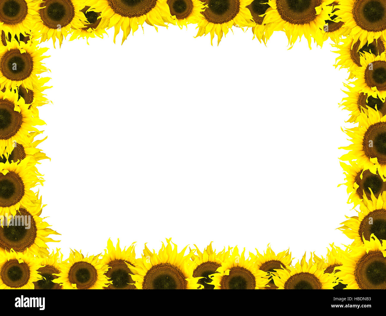 Sunflower frame hi-res stock photography and images - Alamy