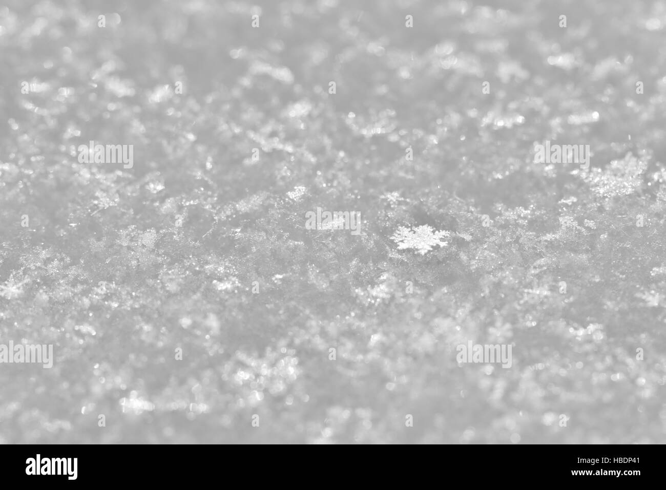 Real snowflakes on snow backgrounds Stock Photo - Alamy