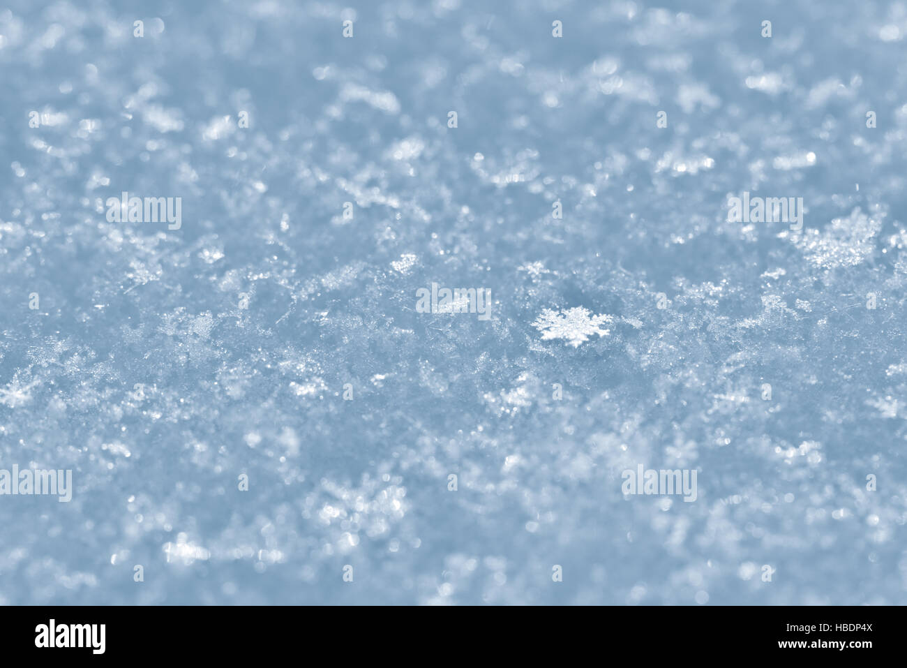 Real snowflakes on snow backgrounds Stock Photo - Alamy