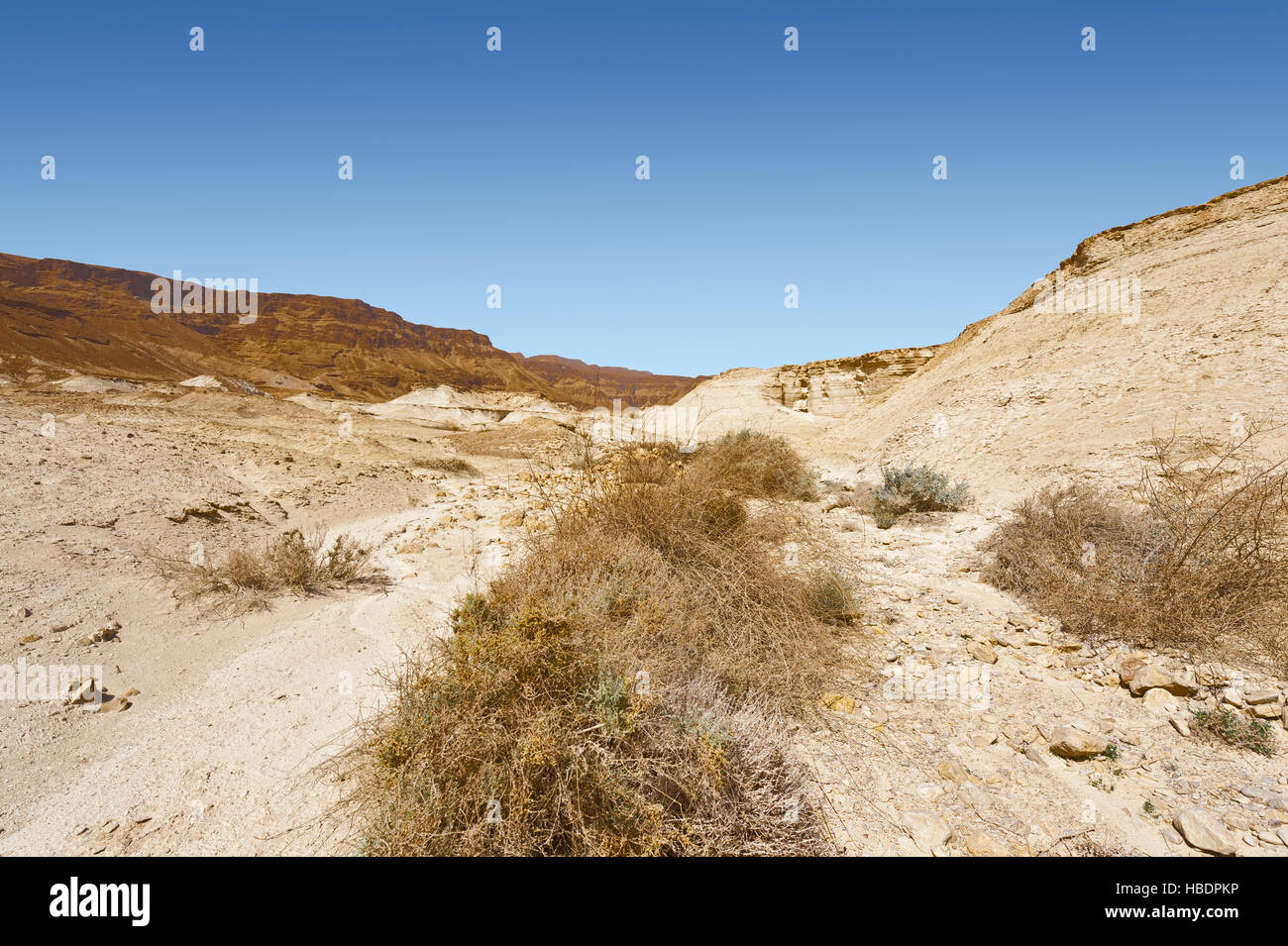 Desert in Israel Stock Photo - Alamy