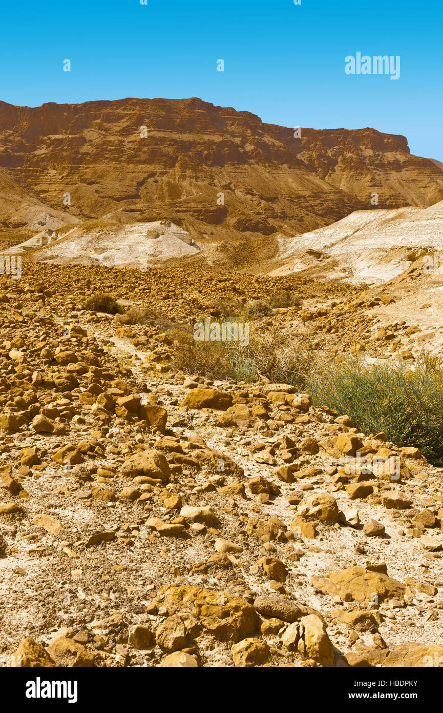 Desert in Israel Stock Photo - Alamy