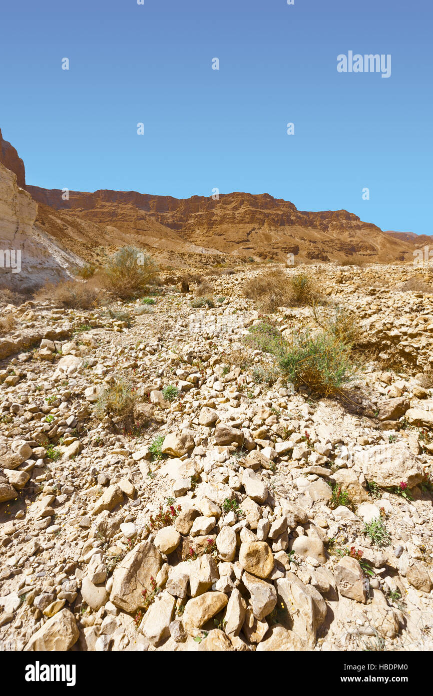 Desert in Israel Stock Photo - Alamy