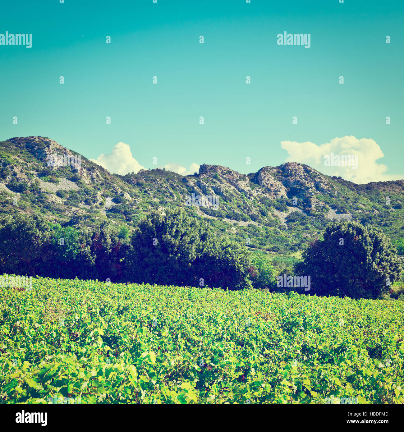 Autumn in France Stock Photo - Alamy