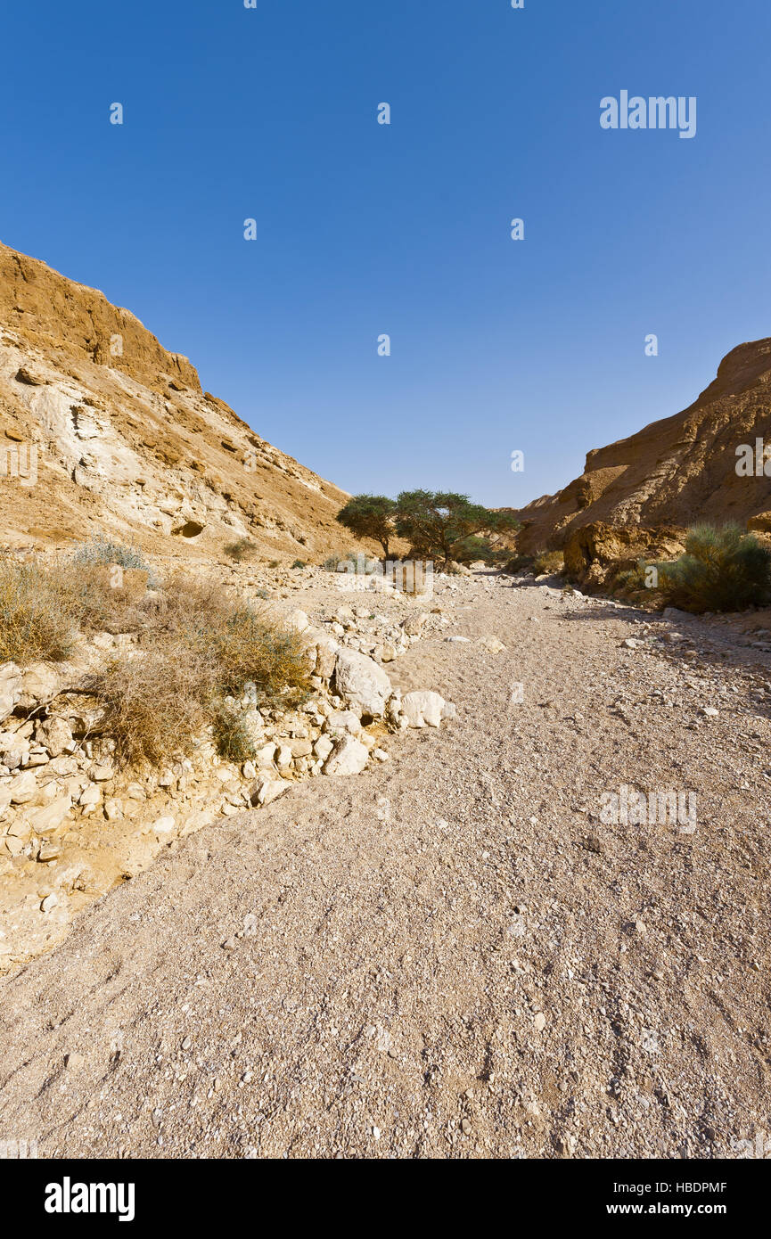 Desert in Israel Stock Photo - Alamy